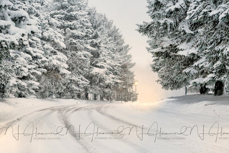Winter Background Digital Snow Background Christmas Background - Etsy