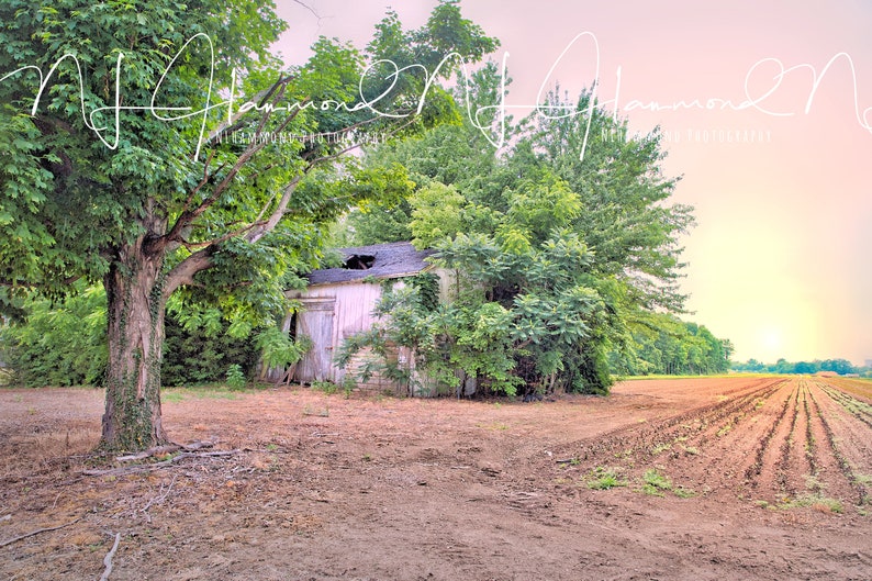 Barn Digital Background Barn Backdrop Country Background Country ...