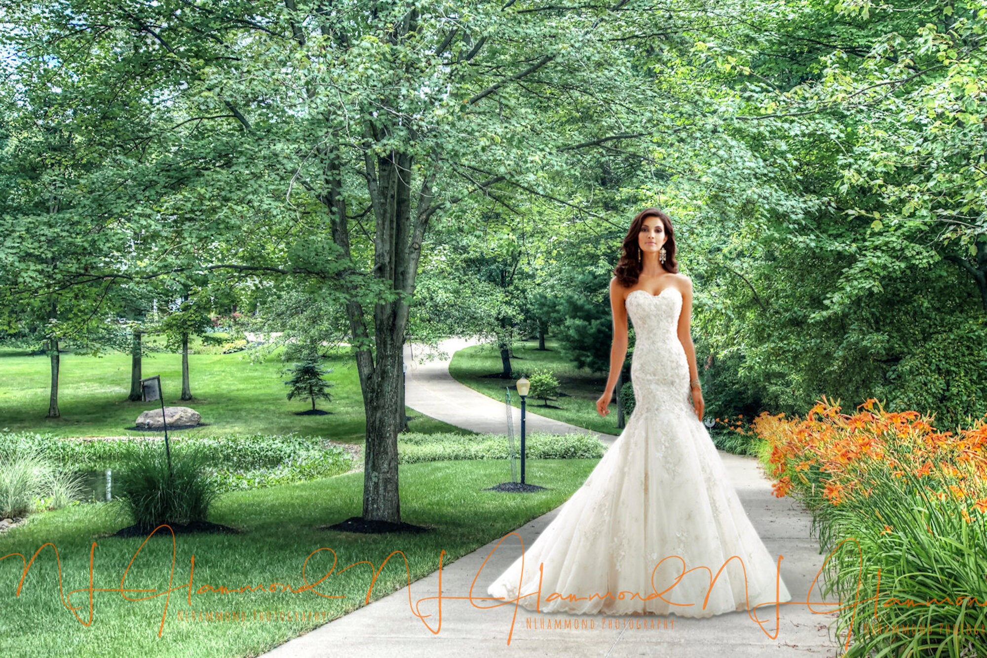 Wedding Digital Background Summer Backdrop Path Background Tree ...