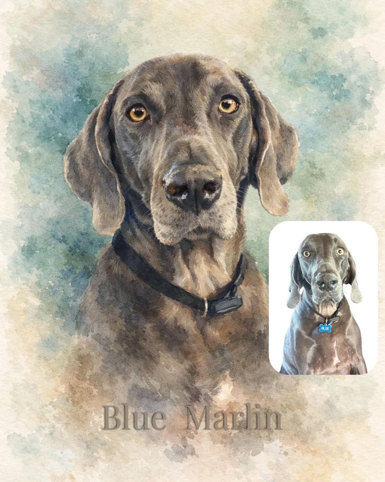 Custom Weimaraner Portrait on Canvas From Your Photo – Watercolor ...