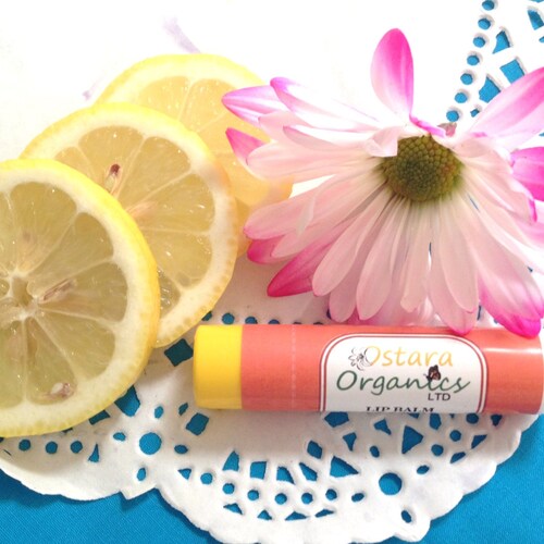 Mango Lip Balm Mango Chapstick Mango Organic Lip Balm | Etsy