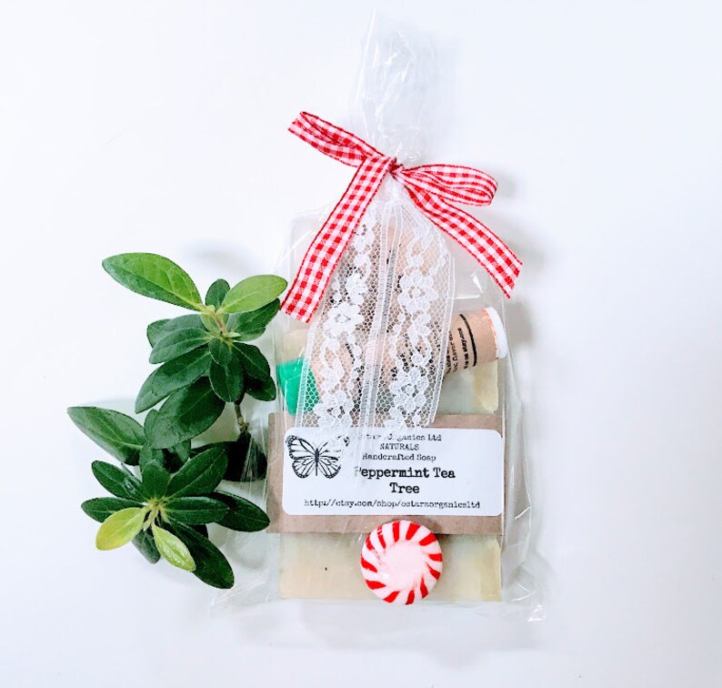 Peppermint Gift Set Tea Tree Gift Set Spa Gift Set Spa - Etsy