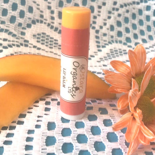 Mango Lip Balm Mango Chapstick Mango Organic Lip Balm | Etsy