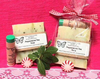 Peppermint Tree - Etsy