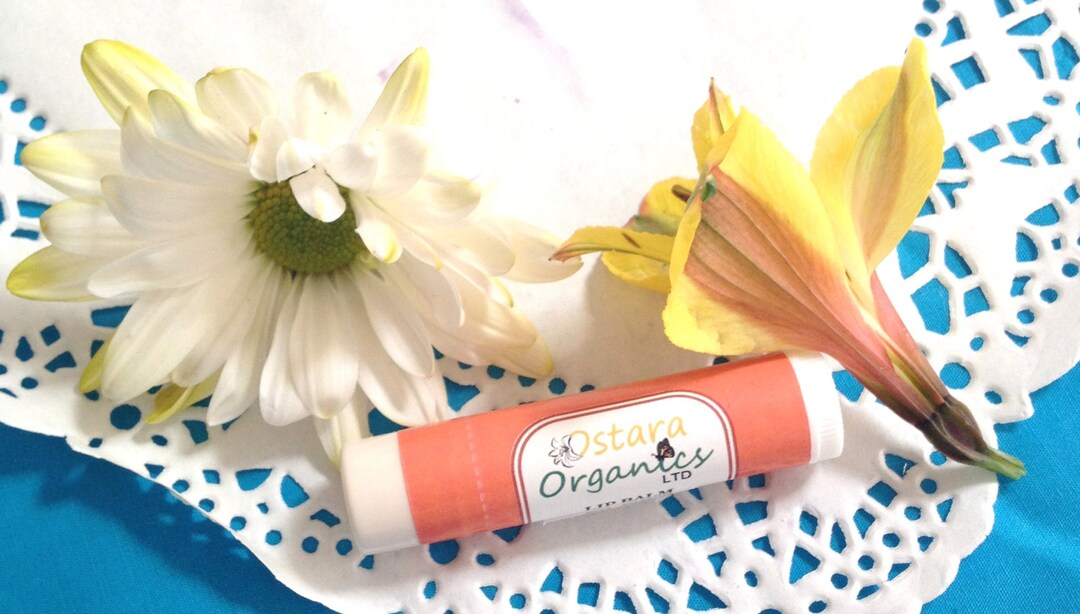 Unflavored Lip Balm, Unflavored Chapstick, Organic Lip Balm, Organic ...