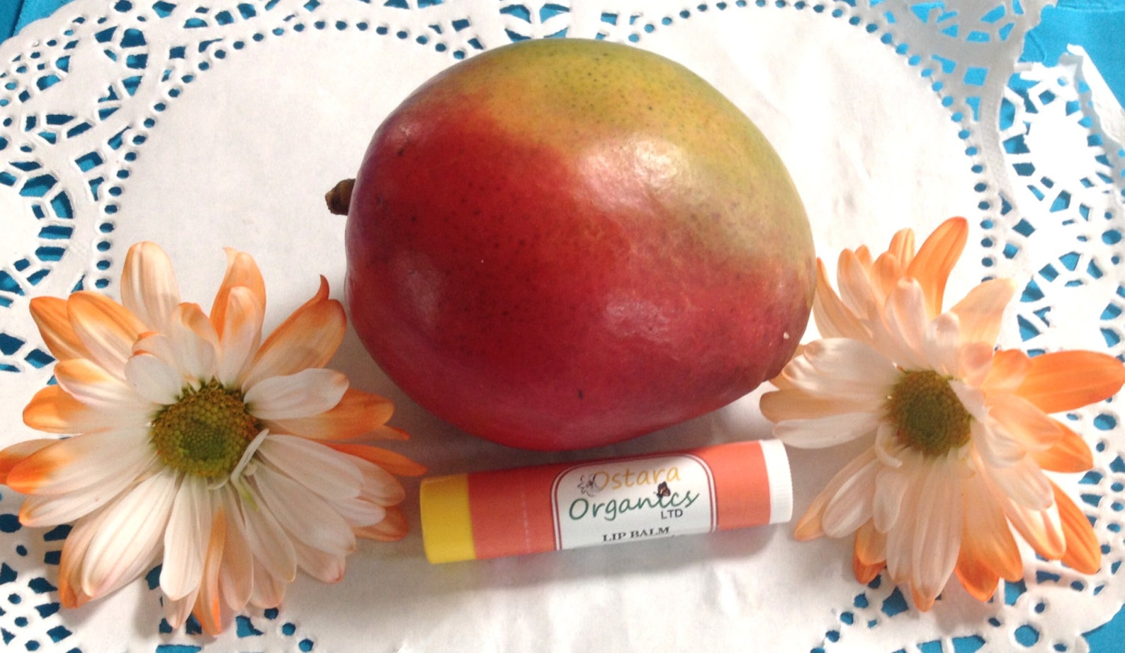 Mango Lip Balm Mango Chapstick Mango Organic Lip Balm | Etsy