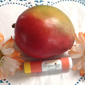 Mango Lip Balm, Mango Chapstick, Mango, Organic Lip Balm, Organic ...