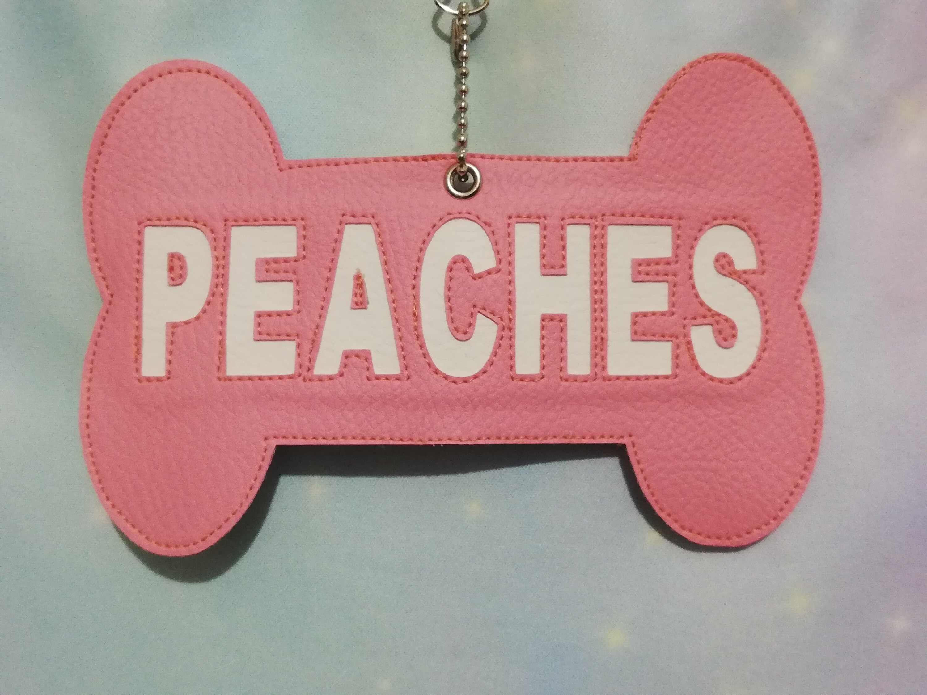 Vegan Leather Fursuit Collar Name Tag Furry Name Tag Con | Etsy