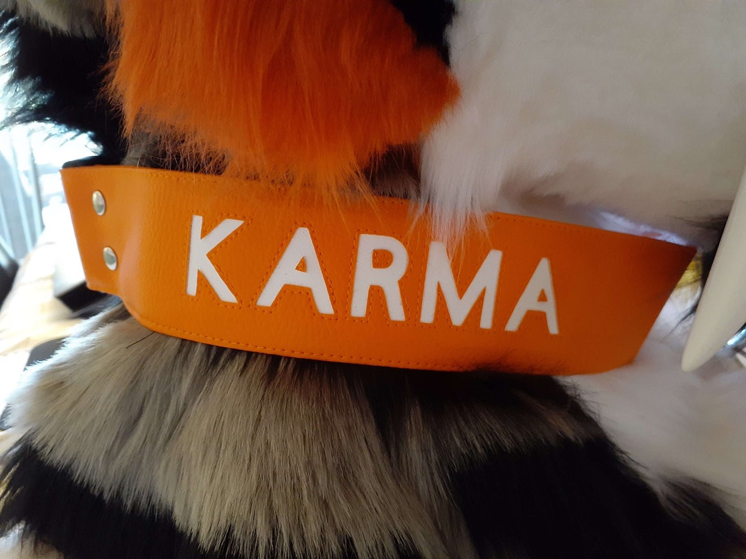 Customisable Fursuit Collar, Choose Your Colour and Size, Add Name. - Etsy