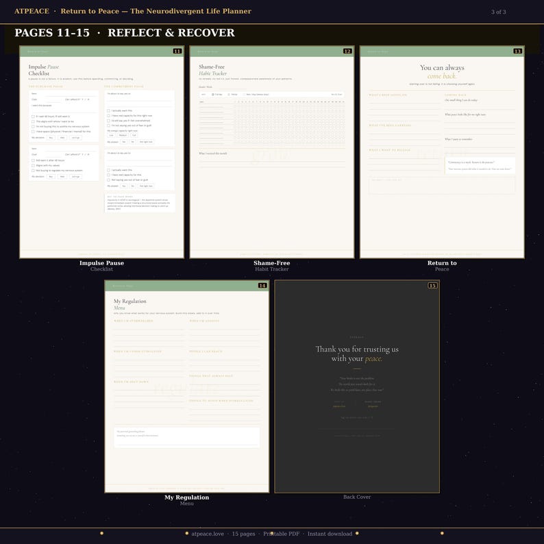 ADHD Autism Audhd Planner | Nervous System Support, Shame-free (instant ...
