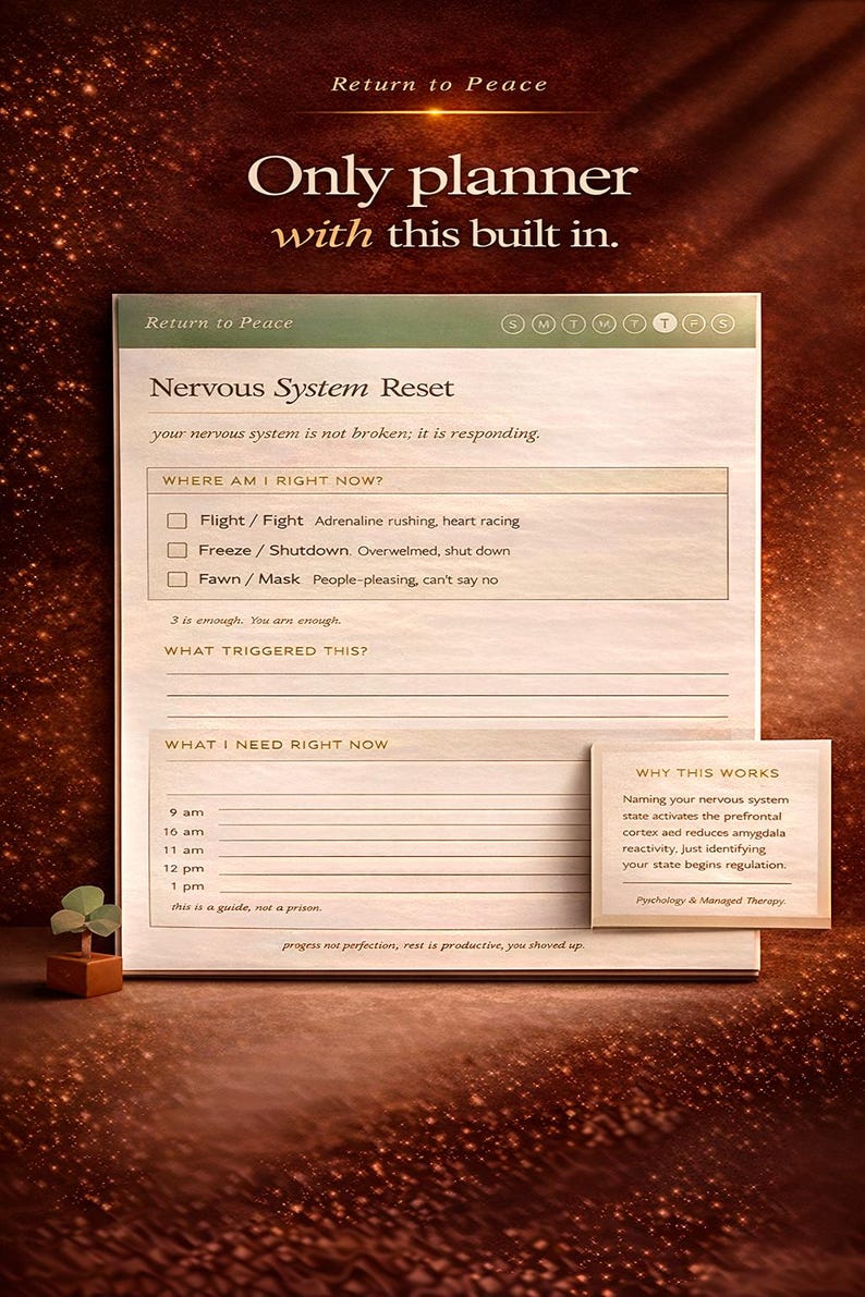 ADHD Autism Audhd Planner | Nervous System Support, Shame-free (instant ...