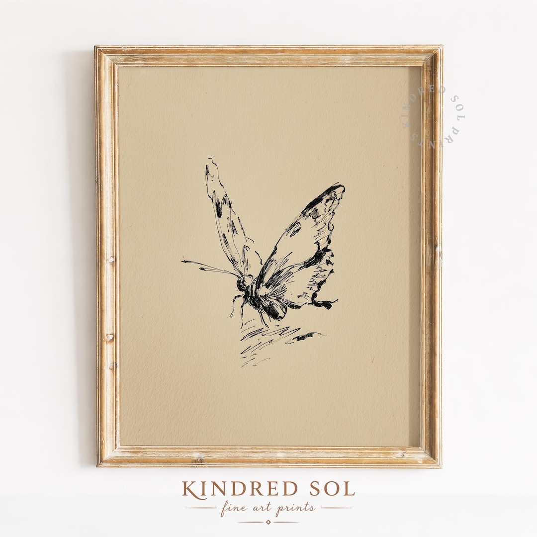 Vintage Butterfly Drawing – Pen Ink Sketch, Natural History Art Print ...