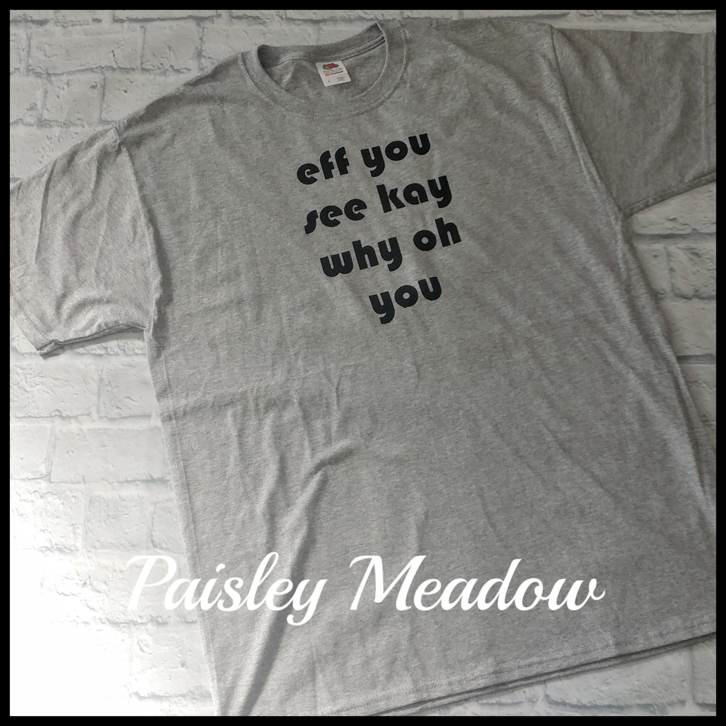 Eff You See Kay Why Oh You F U C K Y O U Adult Unisex Tee S M L XL 2XL ...