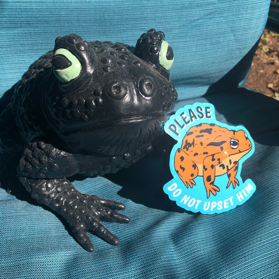 Angry Toad Sticker - Etsy