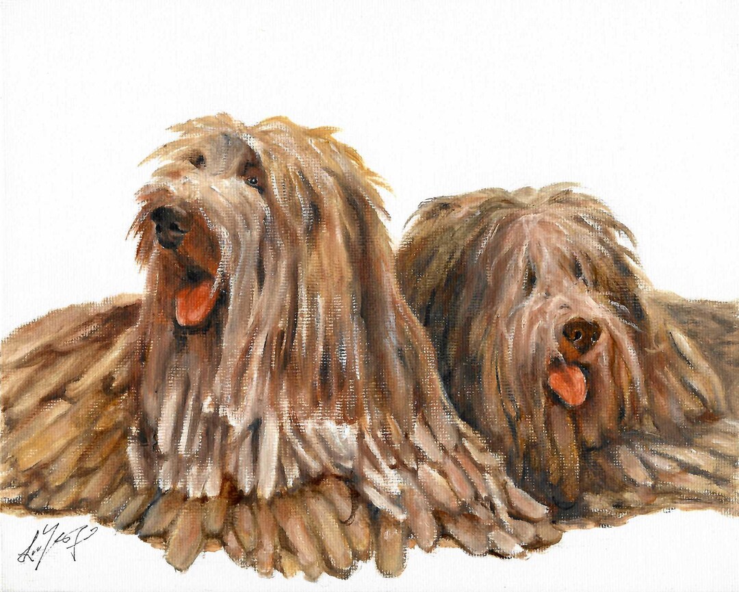 Original Oil Portrait Painting BERGAMASCO SHEEPDOG Puppy Dog Artist ...
