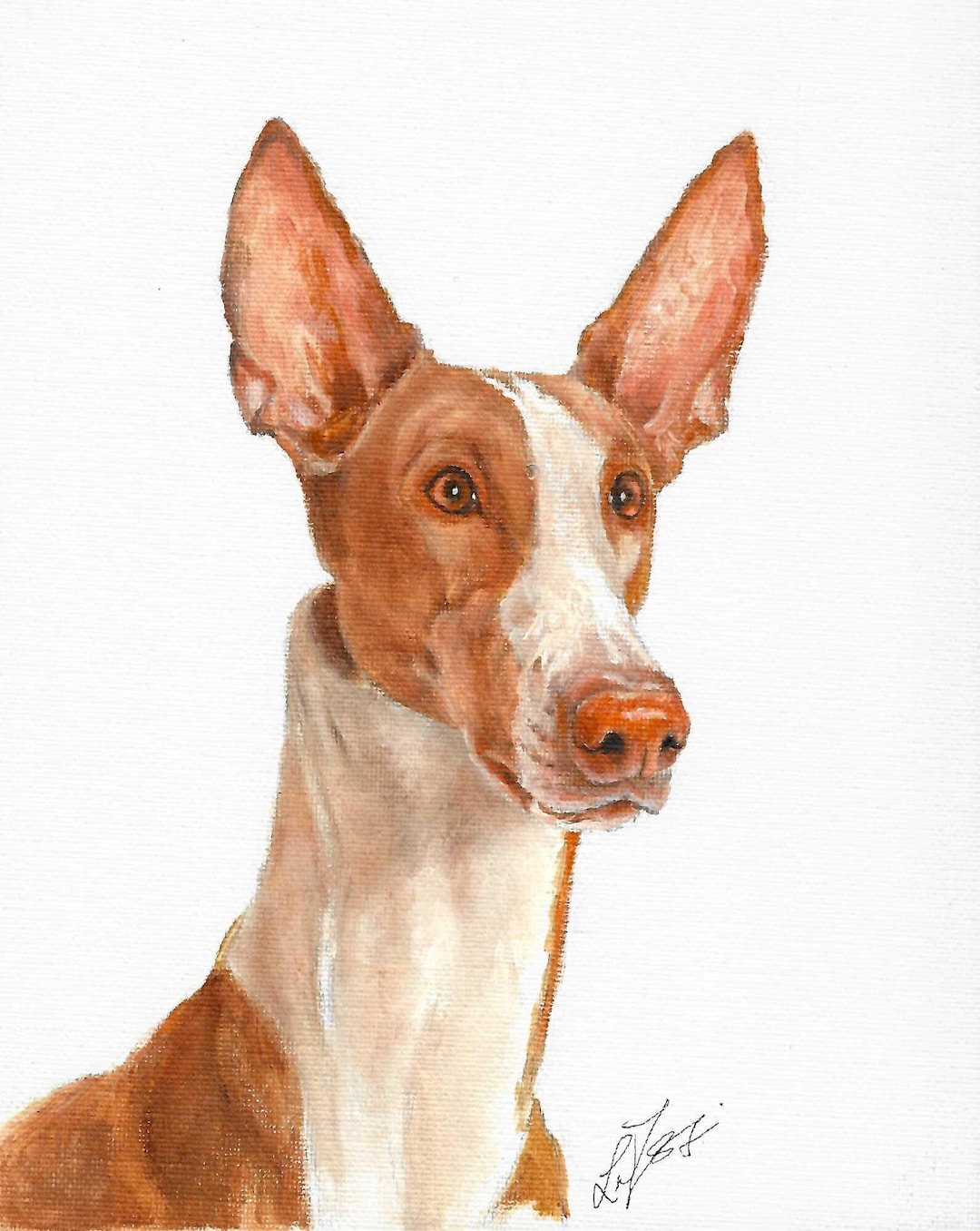 New Original Oil Art IBIZAN HOUND Portrait Painting Puppy Dog Artist ...