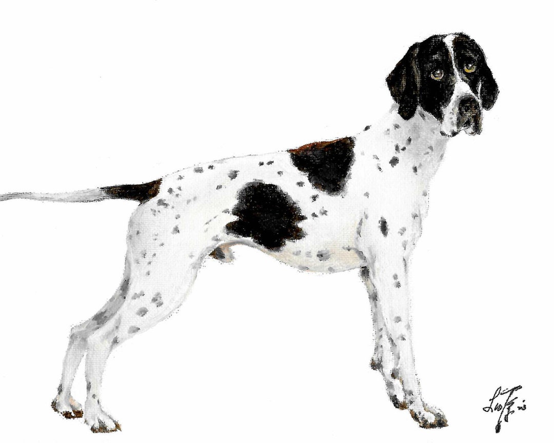 Original Oil Portrait Painting ENGLISH POINTER Puppy Dog Breed Artist ...