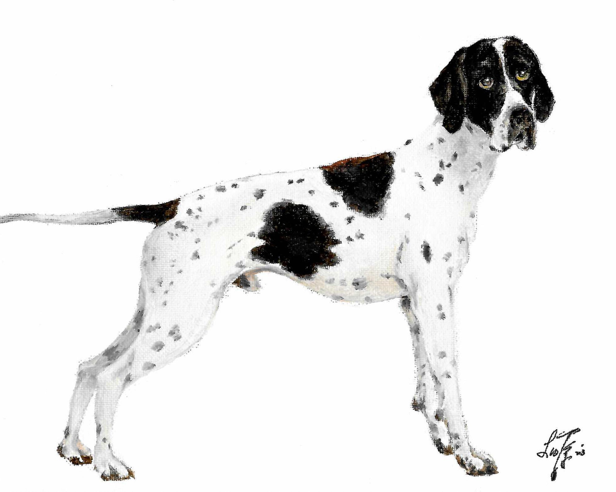 Original Oil Portrait Painting ENGLISH POINTER Puppy Dog Breed Artist ...