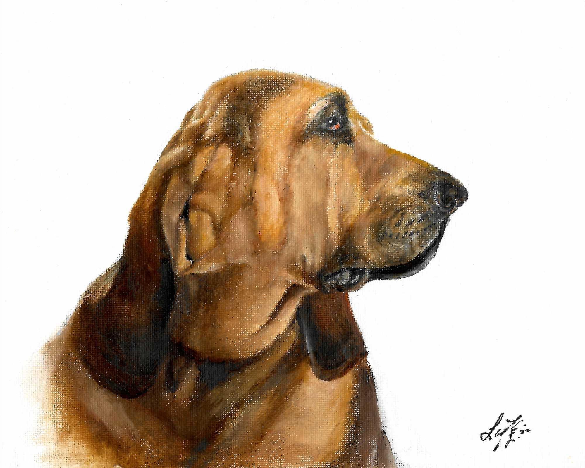 Original Oil Color Portrait Painting BLOODHOUND Artist Signed Art ...