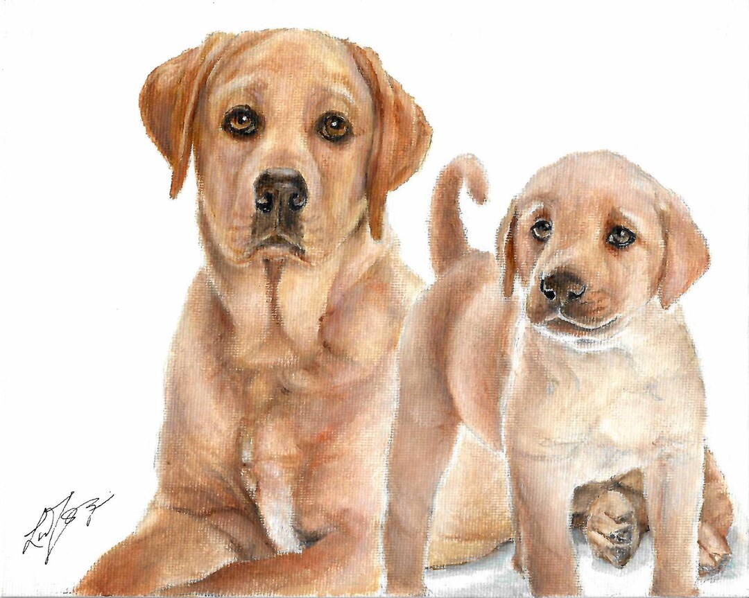 Original Oil Portrait Painting LABRADOR RETRIEVER Artist Signed Puppy ...