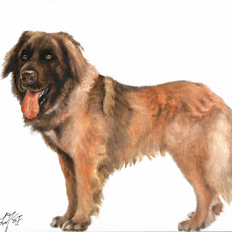 Leonberger Paintings - Etsy