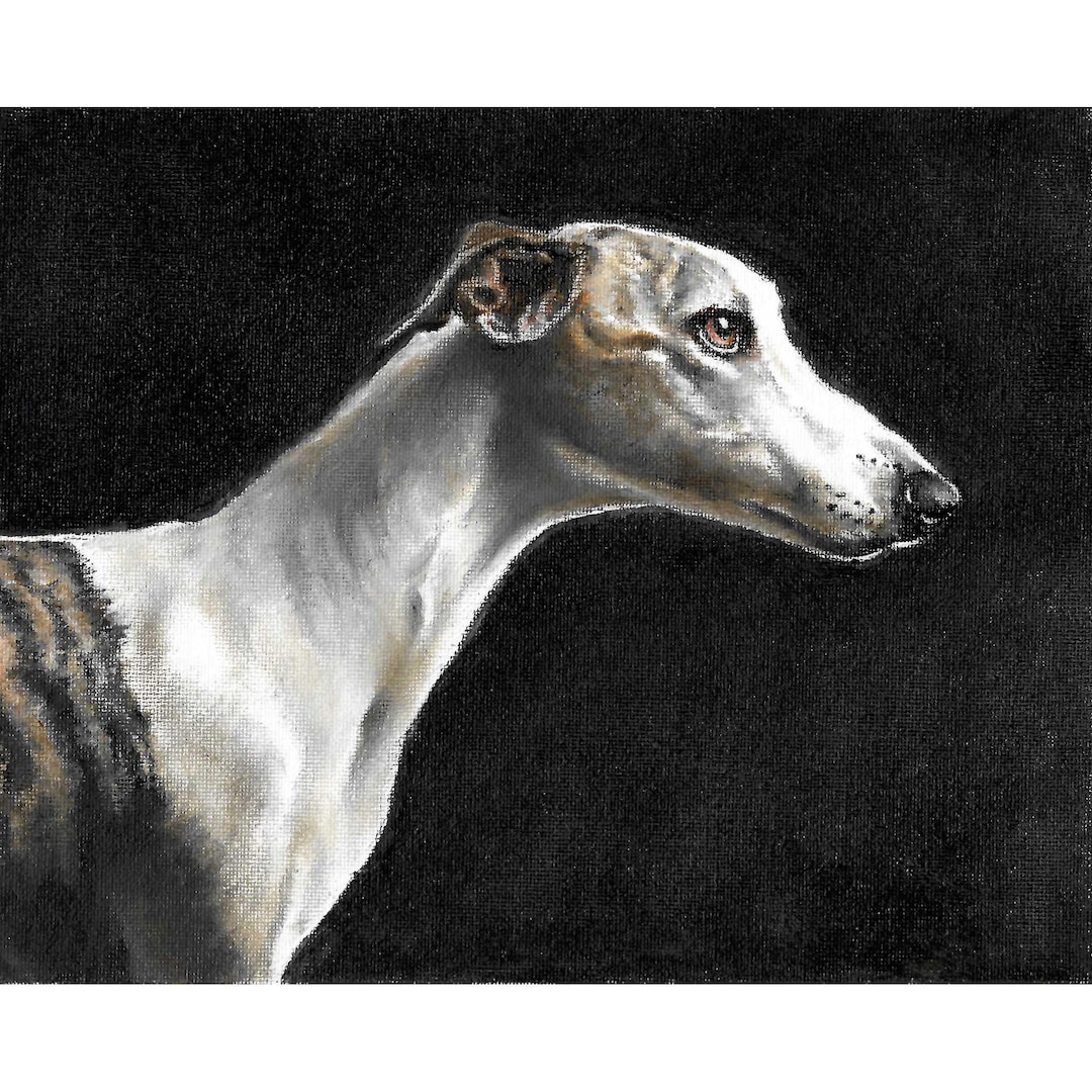 Original Dog Oil Portrait Painting WHIPPET Artist Signed Art Artwork ...
