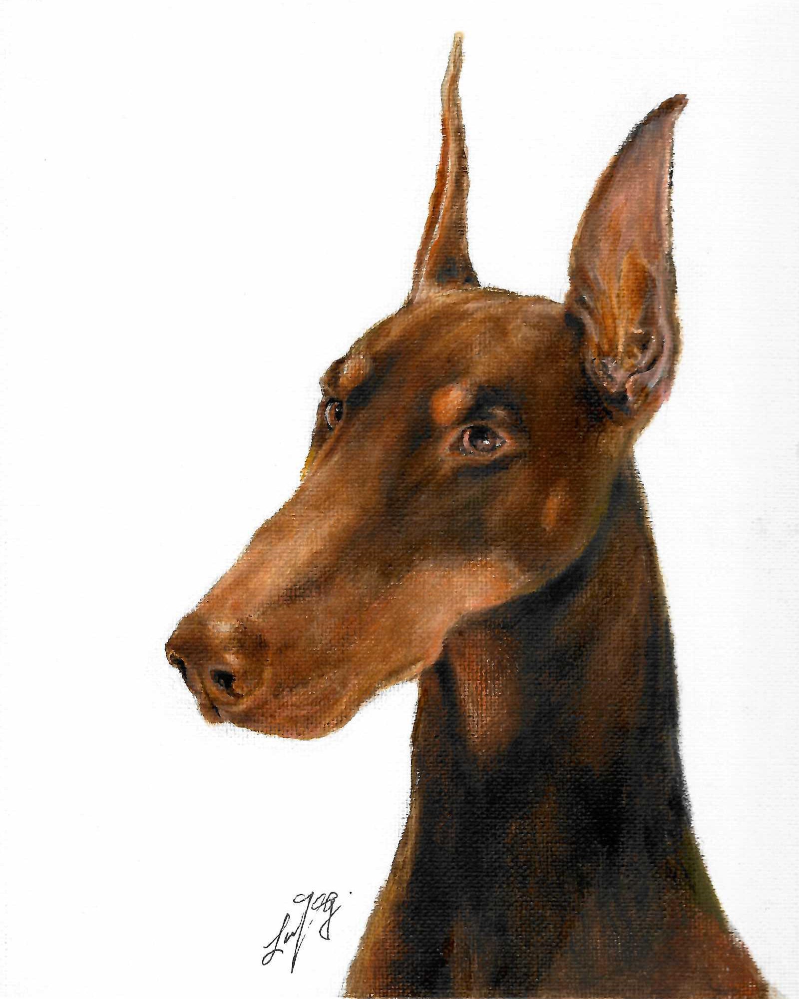 Braune Dobermann Pinscher Welpen