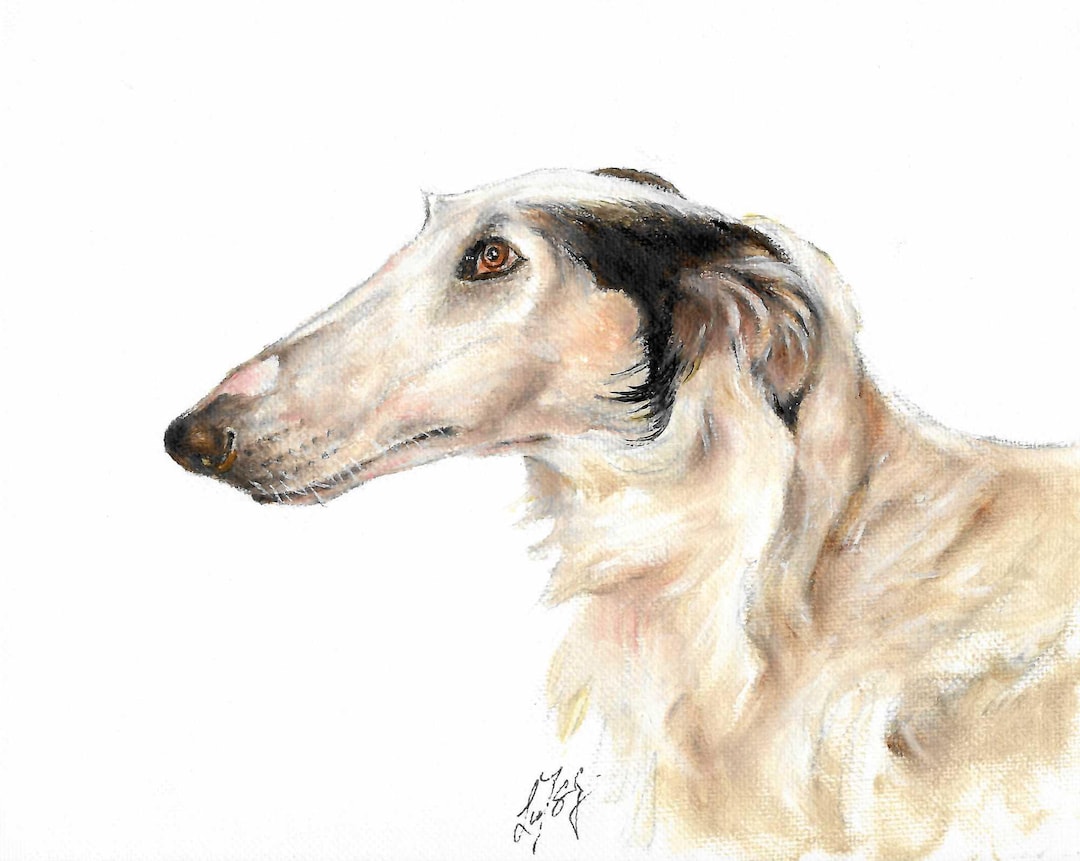 Original Oil Portrait Painting BORZOI Puppy Dog Artist Signed Artwork ...