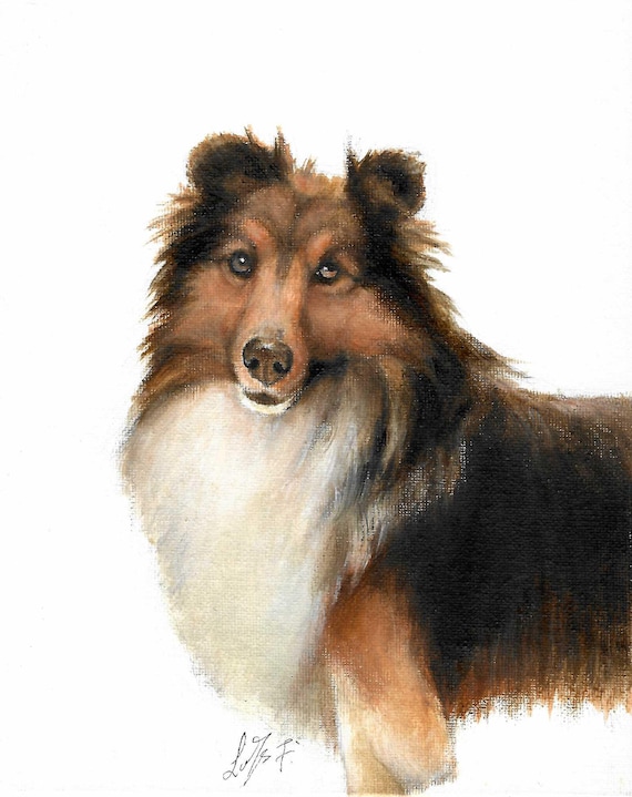 Original Oil Portrait Painting SHELTIE SHEEPDOG Collie Sheltie | Etsy