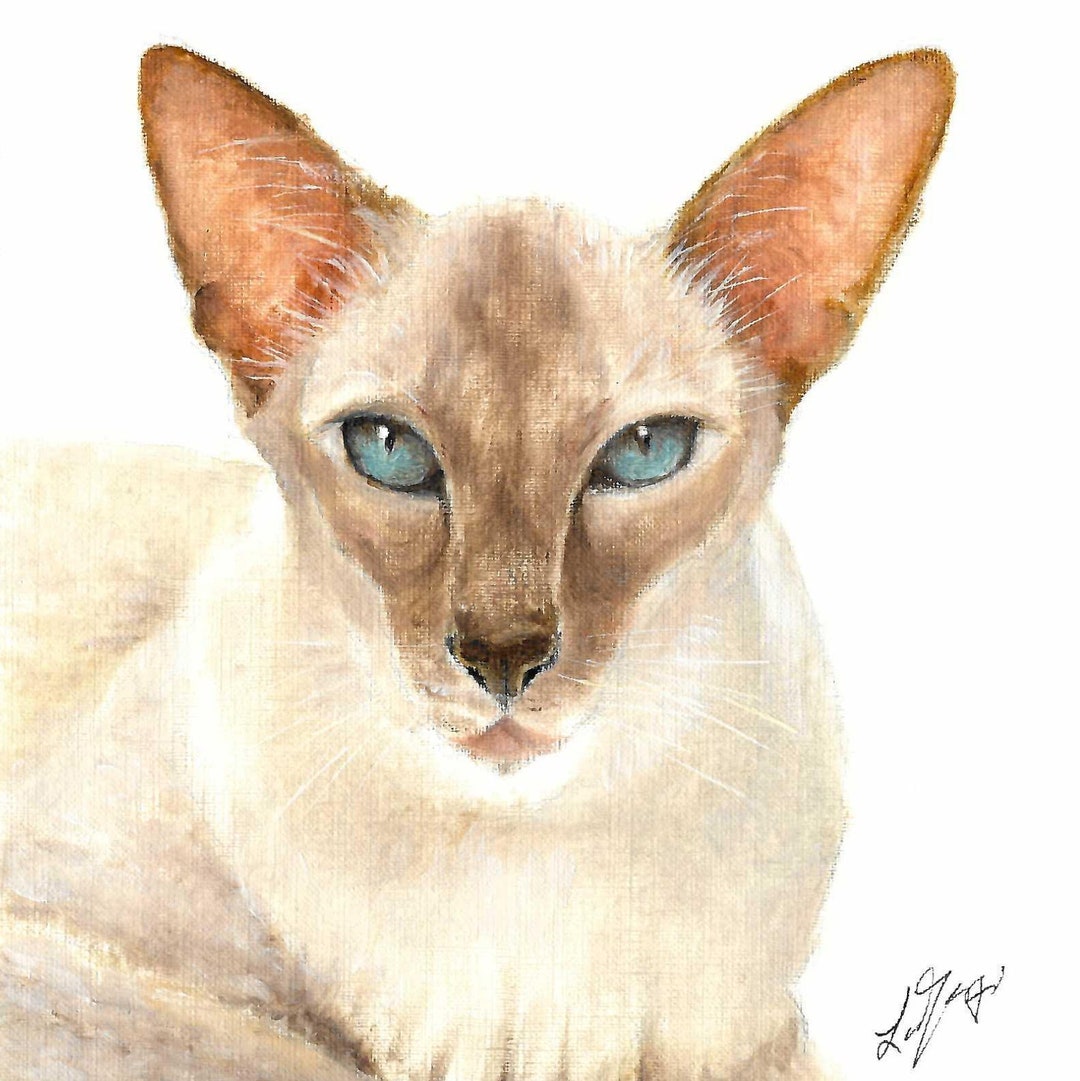 Original Oil Portrait Painting SIAMESE Artist Signed Art Artwork Cat ...