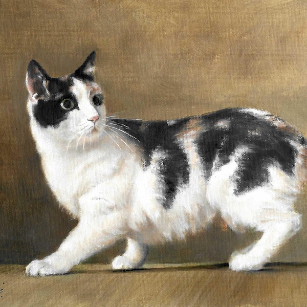 Manx Cats - Etsy