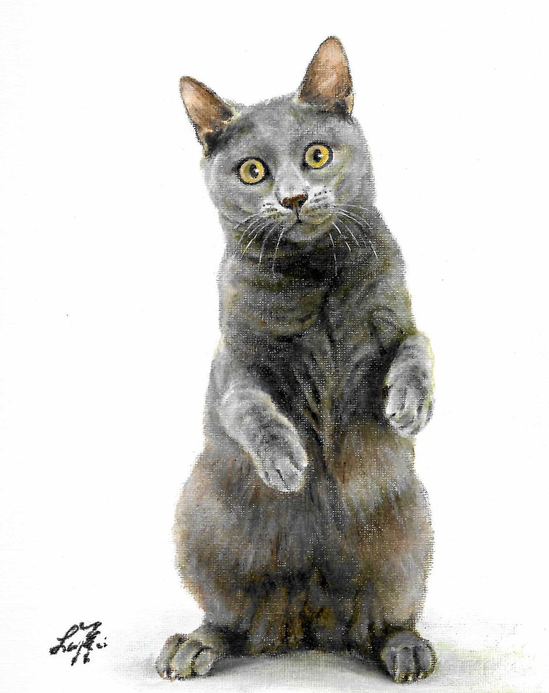 Original Oil Portrait Painting CHARTREUX Blue Silver Grey Cat Kitten ...