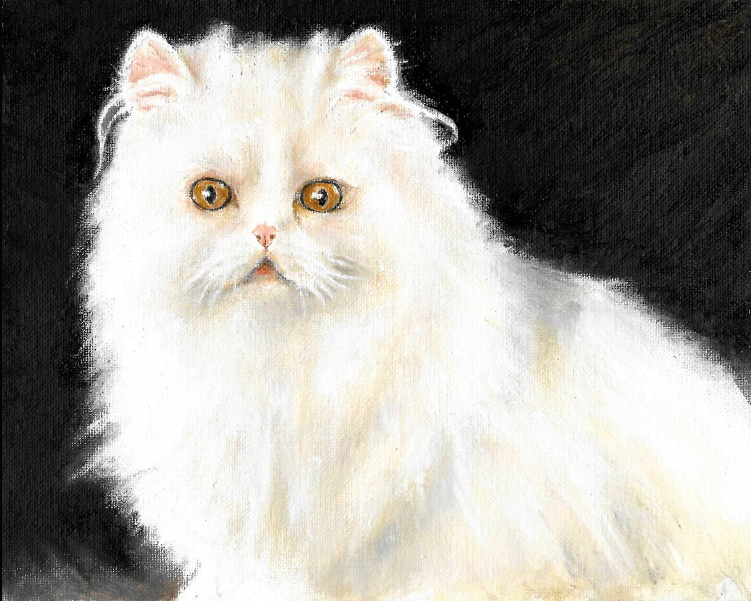 Original Oil Portrait Painting WHITE CAT Persian Artwork Artist Signed ...