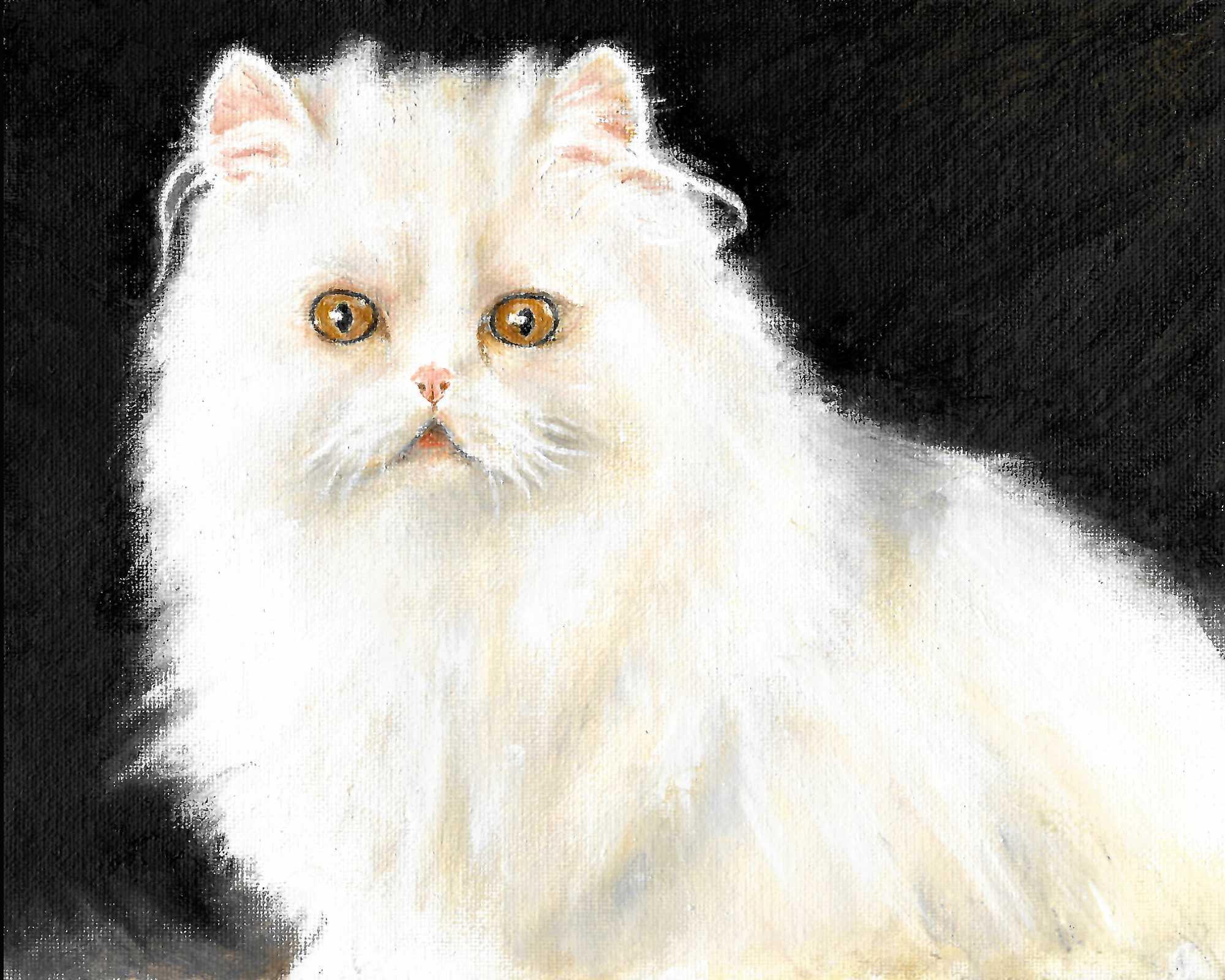 Original Oil Portrait Painting WHITE CAT Persian Artwork Artist Signed ...