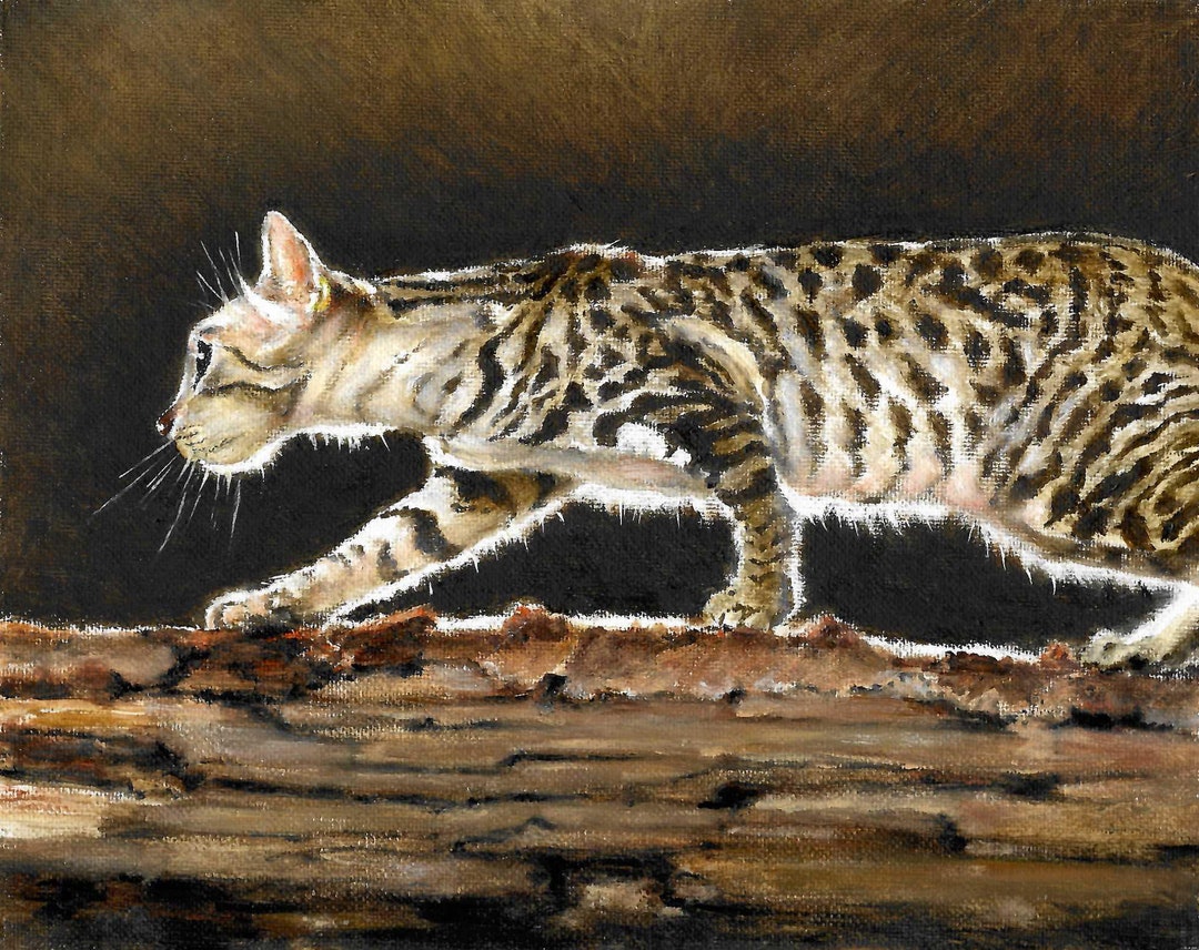 Original Oil Portrait Painting CALIFORNIA SPANGLED CAT on Wood Artist ...