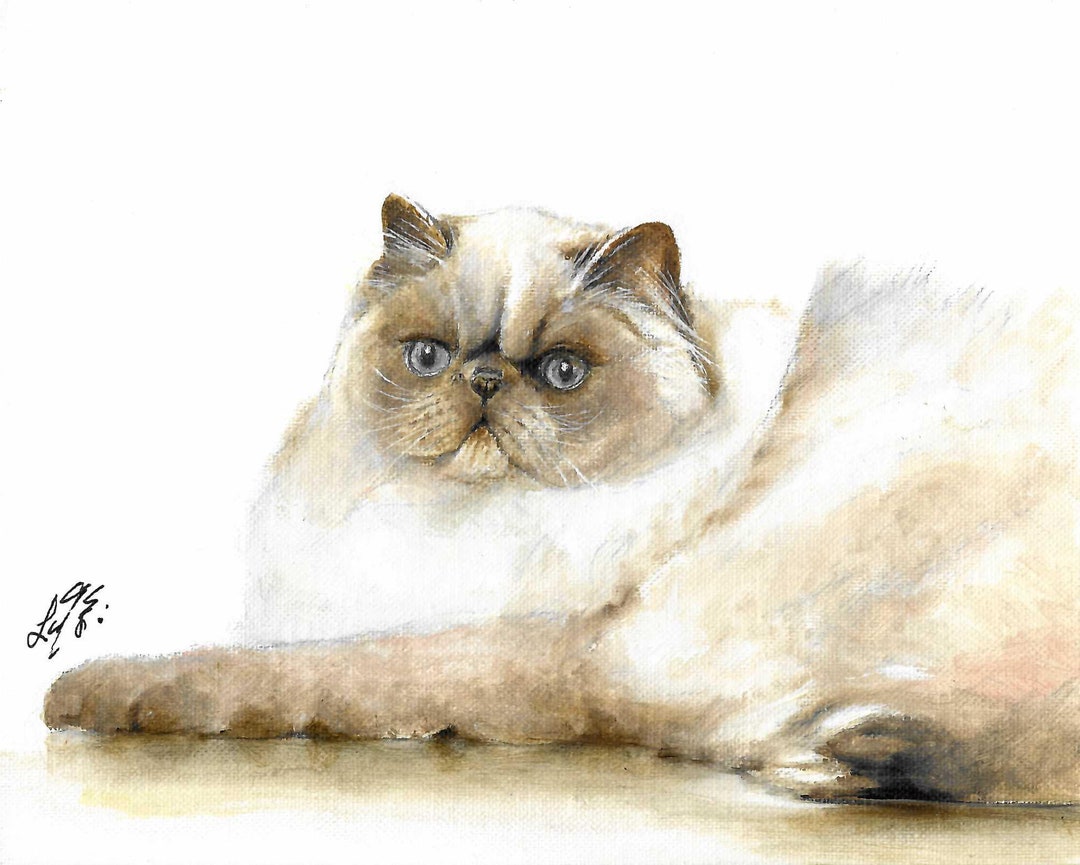 Original Oil Portrait Painting HIMALAYAN BLUE POINT Cat Feline Kitten ...