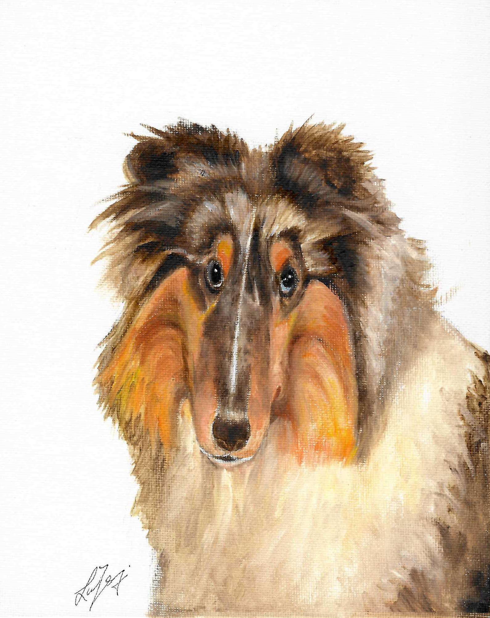 Original Oil Portrait Painting COLLIE Artist Signed Puppy Dog Artwork ...