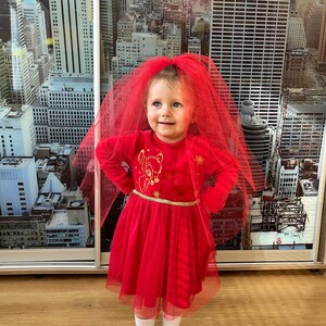 Lydia Deetz Baby Halloween Costume Veil. Toddler, Girl, Child Halloween ...