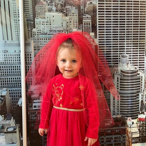 Lydia Deetz Baby Halloween Costume Veil. Toddler, Girl, Child Halloween ...