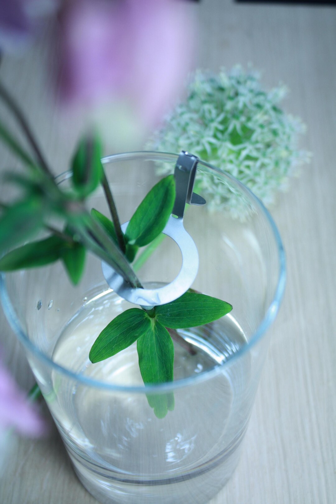 Single Flower Holder - Stainless Steel Holder for a Single Flower, With ...