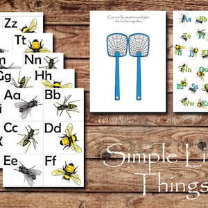 Fly Swatter ABC Activity - PDF, DIY Printable for Toddlers, Home School ...