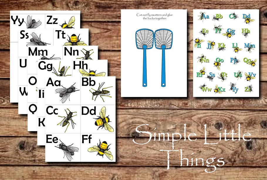 Fly Swatter ABC Activity - PDF, DIY Printable for Toddlers, Home School ...