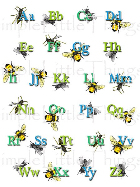 Fly Swatter ABC Activity - PDF, DIY Printable for Toddlers, Home School ...