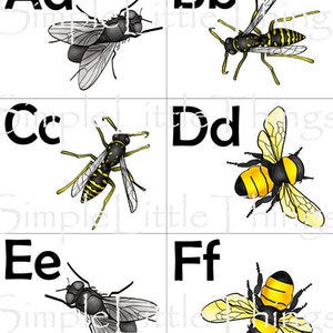 Fly Swatter ABC Activity - PDF, DIY Printable for Toddlers, Home School ...