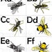 Fly Swatter ABC Activity - PDF, DIY Printable for Toddlers, Home School ...