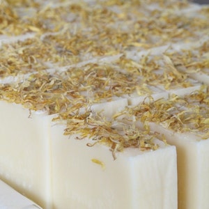 Grapefruit & Lemongrass Natural Soap Handmade Soap Bar Botanical Soap Vegan Friendly - Etsy UK