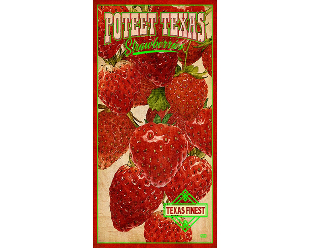Poteet Texas Strawberry Poster - Etsy