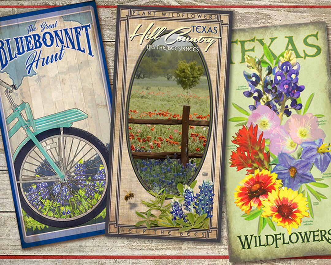 Poster Memories of Texas Spring Wildflowers Group 3 - Etsy