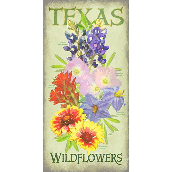 Texas Wildflowers - Etsy
