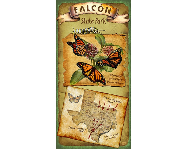 Falcon State Park Texas Poster - Etsy